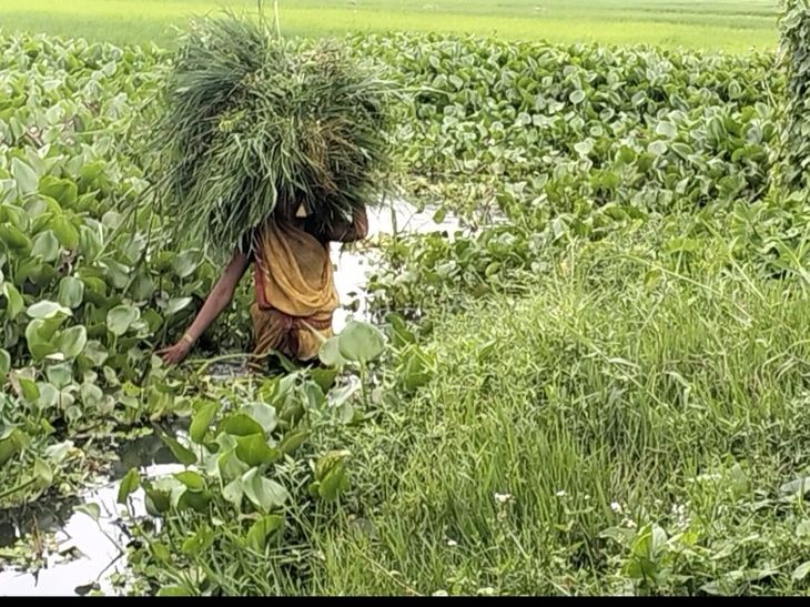 Demand for bridge in Besar village of Mahisi | महिषी के बेसर गांव में ...
