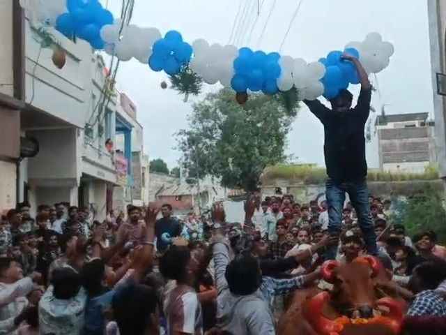 Special decoration of bulls on Pola festival in Khargone: Farmers ...