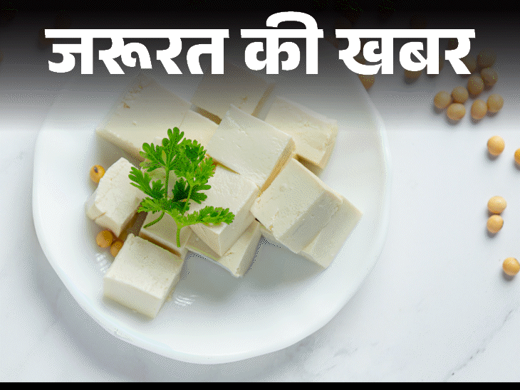 Homemade Paneer Ghee Recipe; Real Vs Fake Identify | Health Risk