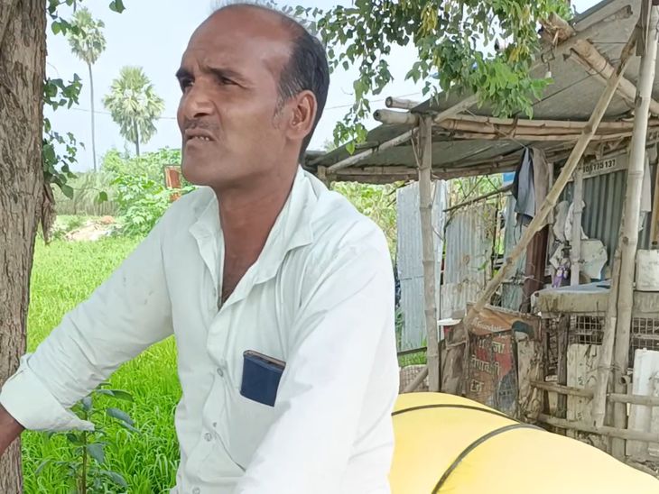 Farmers are worried due to non-availability of urea in Nautan | नौतन ...