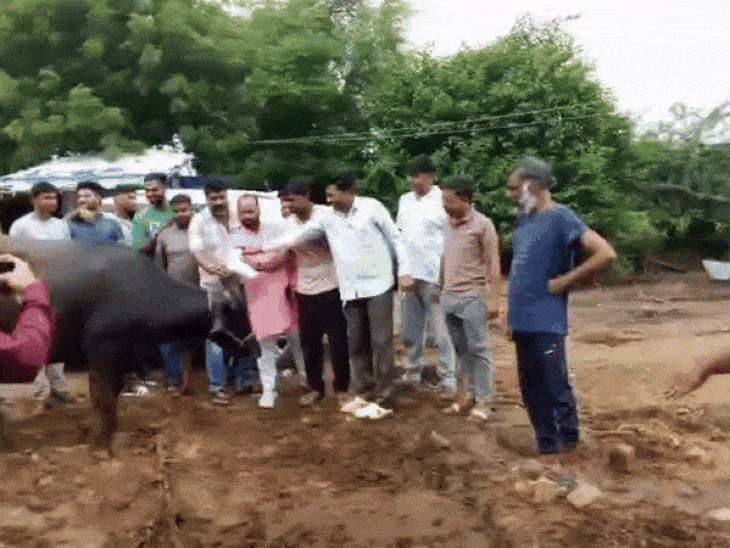 Anger erupted against CMO of Bhind | ग्रामीणों ने भैंस को दिया आवेदन ...