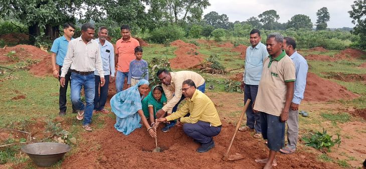BDO planted trees