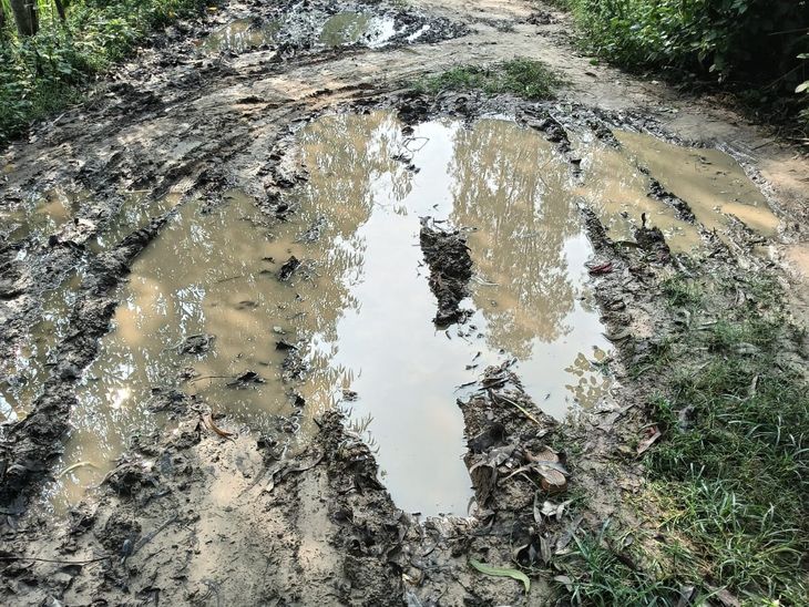 Chak road from Sonicpur to Ajmatpur is in bad condition | सोनिकपुर से ...