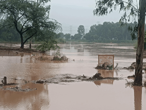 Panchkula-heavy-rain-destruction-Khatauli bridge-collapsed-update