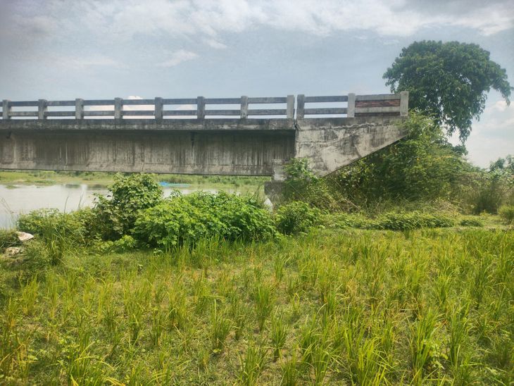 The bridge on Sursar river is useless | बड़गांव में सुरसर नदी पर बना ...