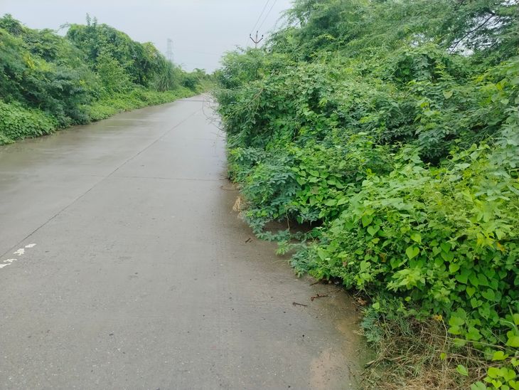 Danger of accident on Bidhuna-Achalda road