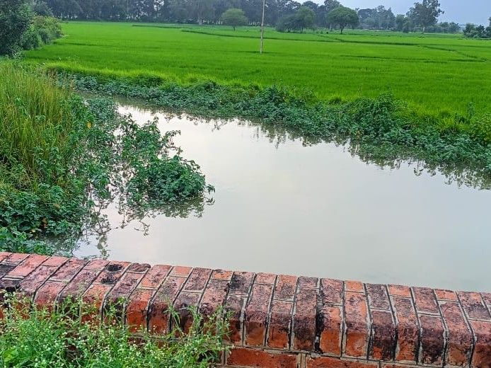 Irrigation canal blocked by water hyacinth