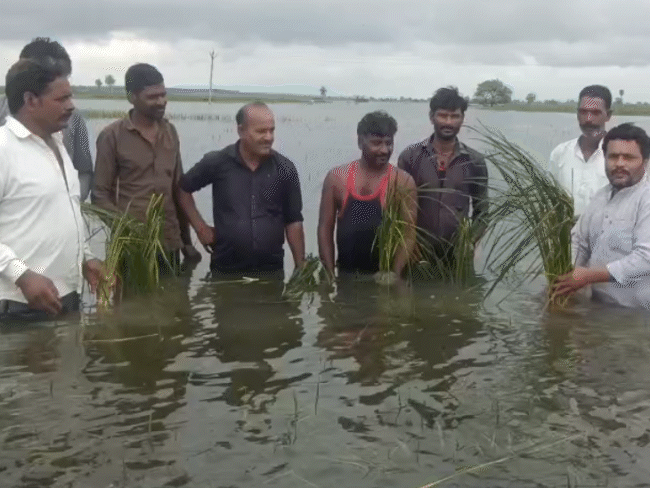 Bhopal's fields submerged 3 feet due to water from Halali dam | हलाली ...