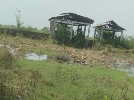 Waterlogging and bushes in the cremation ground of Amarpur village