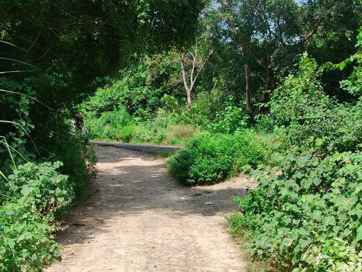 Dangerous turn on Sikandra-Jhinjhak road