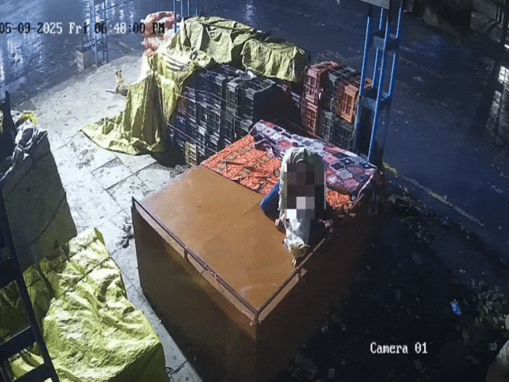 Disgusting act captured on CCTV