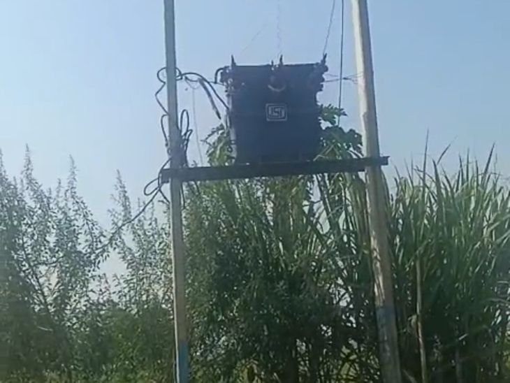 The farmer got an electric shock while putting a bulb on the transformer
