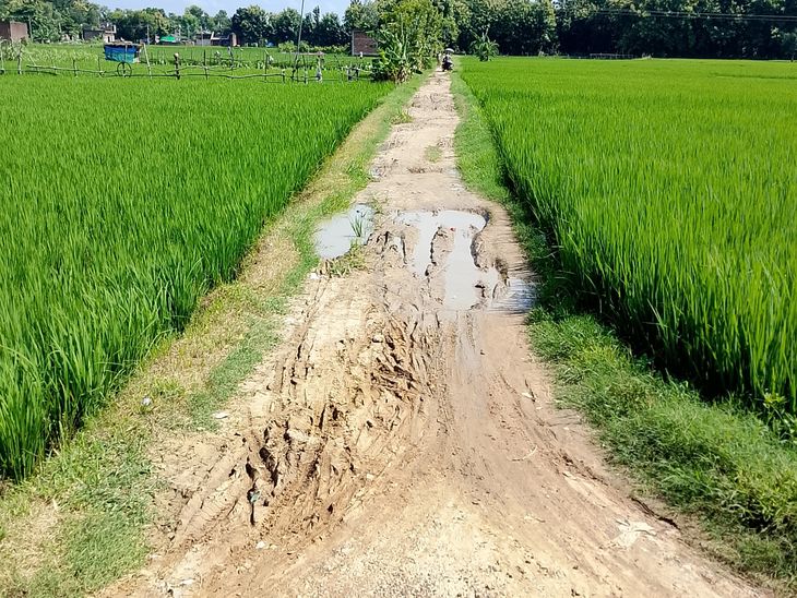 The roads of the villages in Anandnagar are still unpaved even after 5 ...