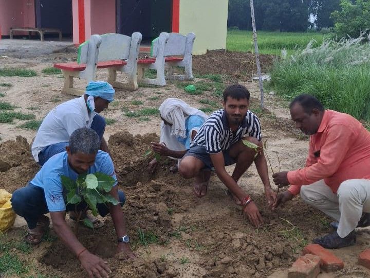 Harishankari plantation drive in Gaur block | गौर ब्लॉक में हरिशंकरी ...