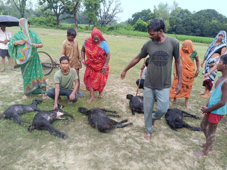 Lightning struck in Hasanganj