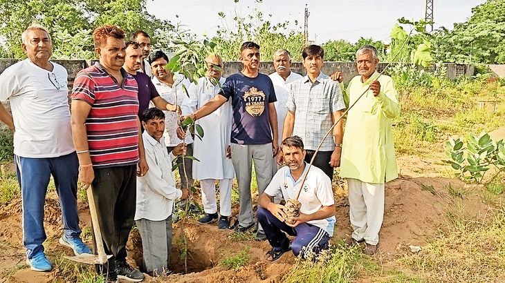 50 trees were planted in the sports stadium. | खेल स्टेडियम में 50 पौधे ...