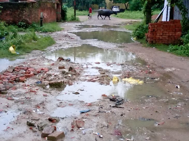 Big potholes on the Dariyapur station road