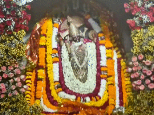 Devotees thronged the Amer Shila Mata Temple on the occasion of Navratri.