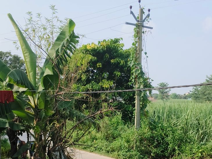 power lines hanging over the road