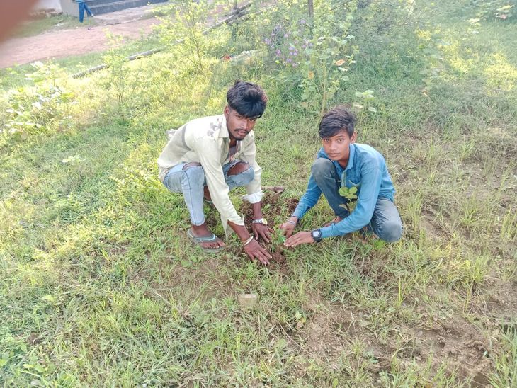 Children planted trees in Semra | सेमरा में बच्चों ने पौधरोपण किया ...
