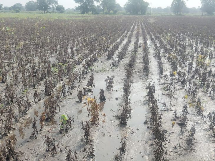 Monsoon wreaks havoc on crops during its departure