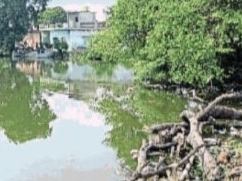 Baraon village of Chakia is a victim of neglect