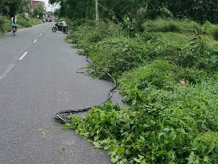 Trees and power lines fallen on the road