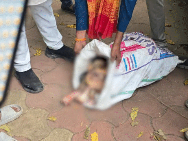 Innova filled with suspicious meat caught in Bhopal | भोपाल में संदिग्ध ...