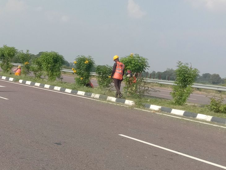 Green grass is being removed from the National Highway divider.