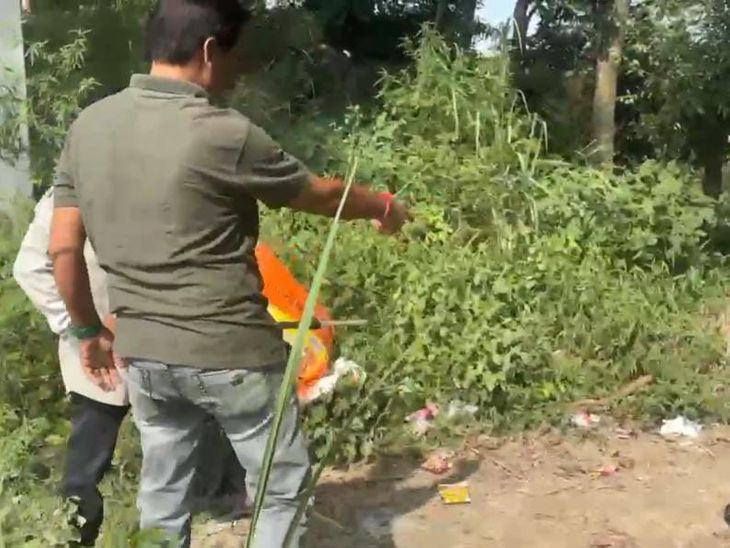 Horse throws snake entangled in wires | घोड़ा पछाड़ सांप तारों में फंसा ...