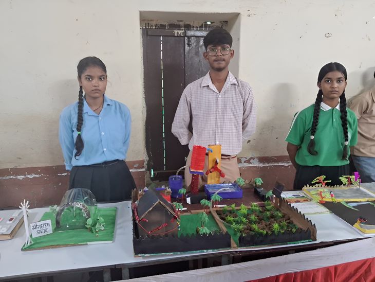 Science Fair: Animal cell model explains the structure of animal cells ...
