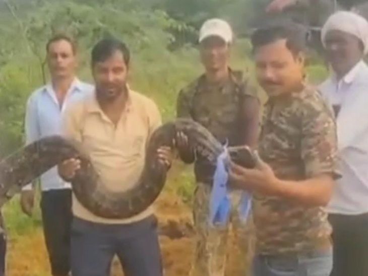 A 15-foot-long, 50-kg python was found.