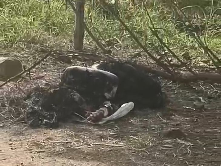 Half-burnt body found in Harda forest