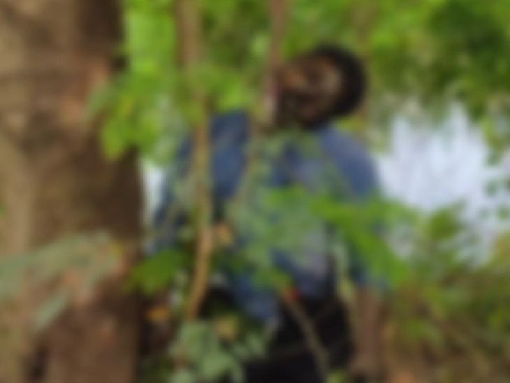 Missing youth's body found hanging from a tree