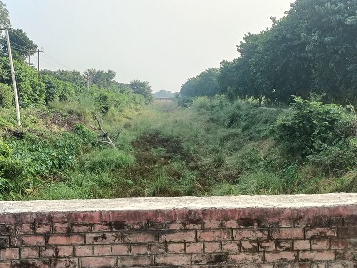 There is no water in Sharda Canal for the last 5 years.