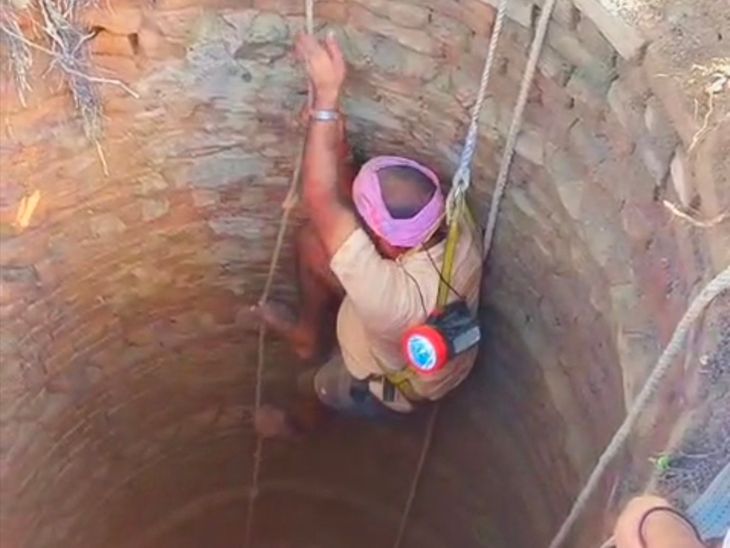 Cattle fell into a 30 feet deep well | 30 फीट गहरे कुएं में गिरा गोवंश ...