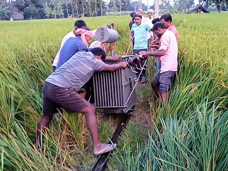 Struggle to save the rice crop | धान की फसल बचाने को संघर्ष: ग्रामीणों ...