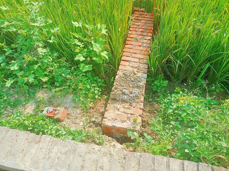 The boundary pillar fell while making the government tube well an ideal ...