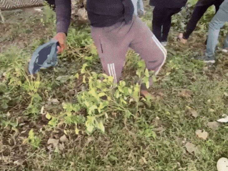 Electricity department guard hit with slippers VIDEO