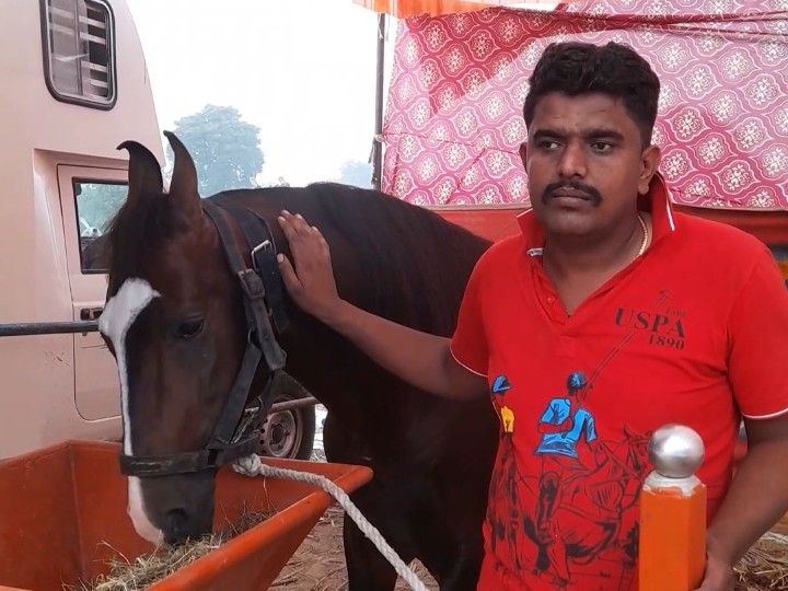 2.5 crore horse at Bateshwar fair