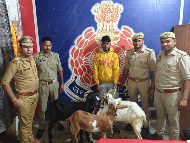 Goat thief arrested with pistol in Derapur | डेरापुर में तमंचे के साथ ...