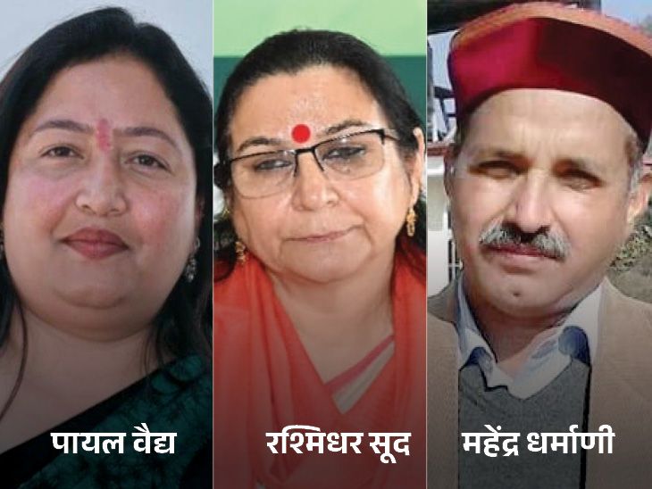 Himachal BJP appointed in-charges all districts Rajeev Bindal Shimla