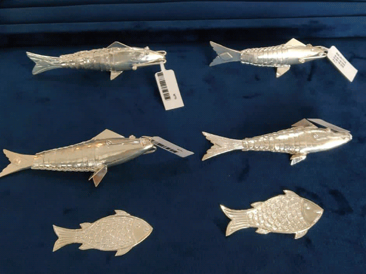 Chhattisgarh Raipur The story changed the trend silver fish instead of ...