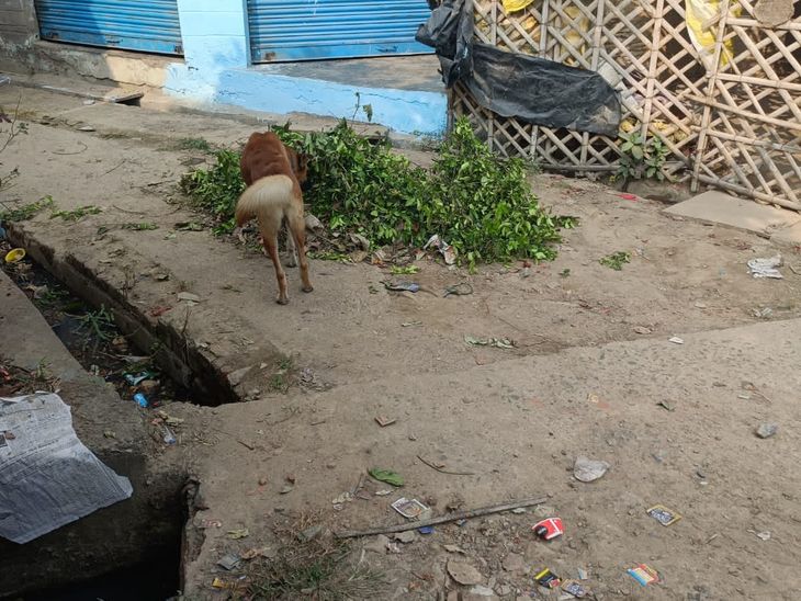 Piles of garbage on Diwali in Lakhna village | लखना देहात में दीपावली ...