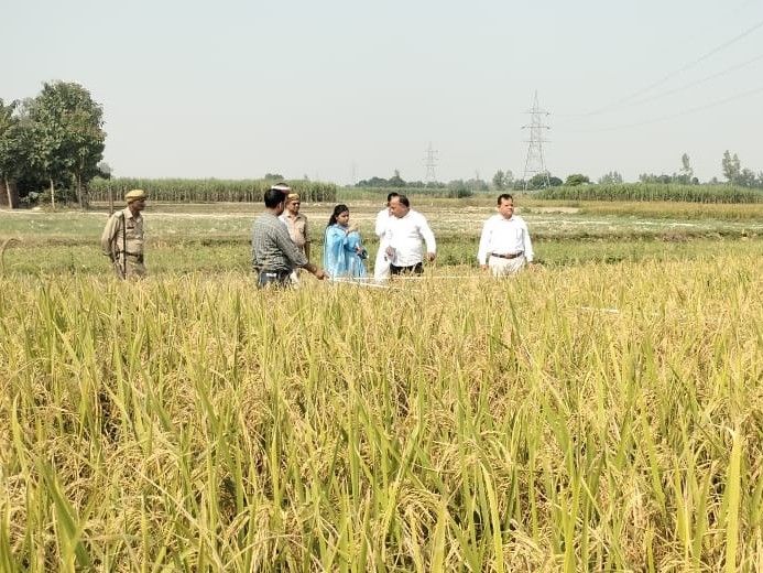 SDM inspected the crop cutting experiment.