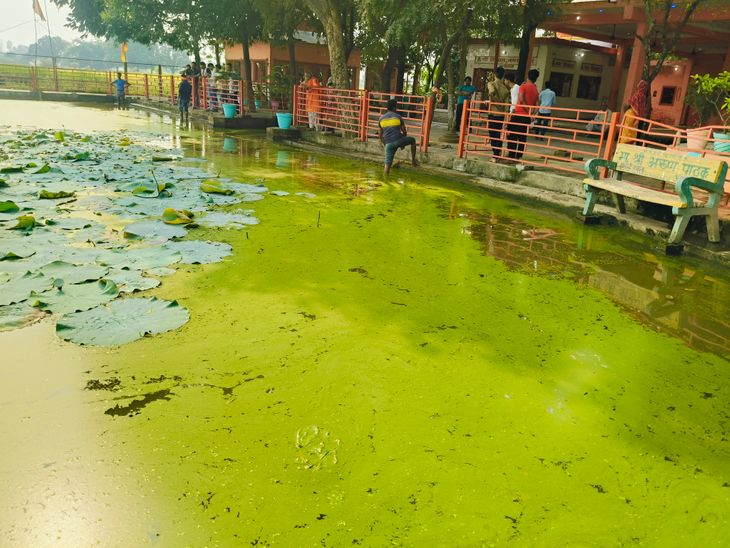 Chhath festival begins in Rania, dirt on the pond ghat | रनिया में छठ ...