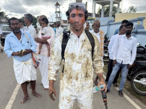 Karnataka Cow Dung Festival; Gorehabba Interesting Facts | Gobar Holi