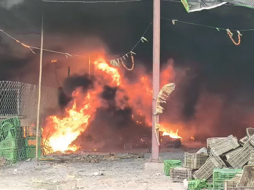Massive fire in Bhatapara vegetable market