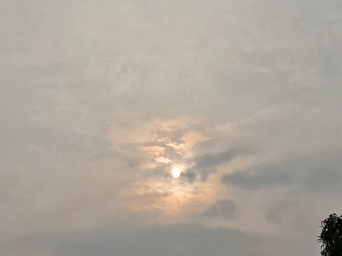 Cyclone impacts Sikar, chill increases due to cold winds