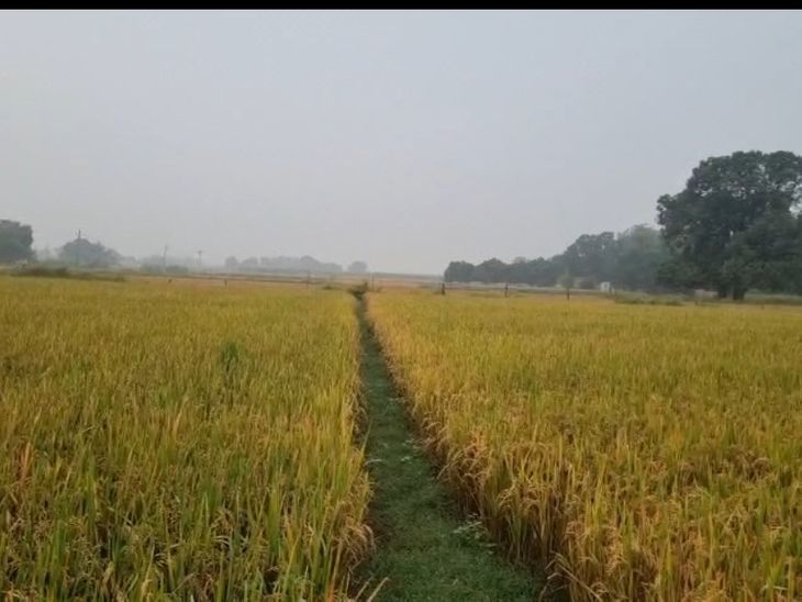 Weather changed in Jamo of Amethi